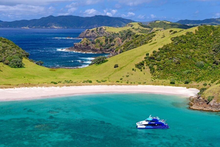 From Paihia: Day in the Bay - Full-Day Bay of Islands Cruise - Key Points