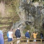 From Paihia: Kawiti Glowworm Caves Guided Tour - Exploring the Kawiti Glowworm Caves: An Authentic Encounter