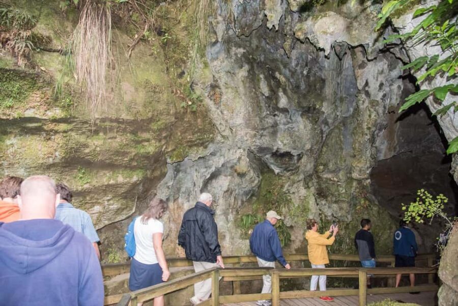 From Paihia: Kawiti Glowworm Caves Guided Tour - Exploring the Kawiti Glowworm Caves: An Authentic Encounter