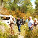 From Pemberton: Half-Day Beach and Forest Eco Adventure - Key Points