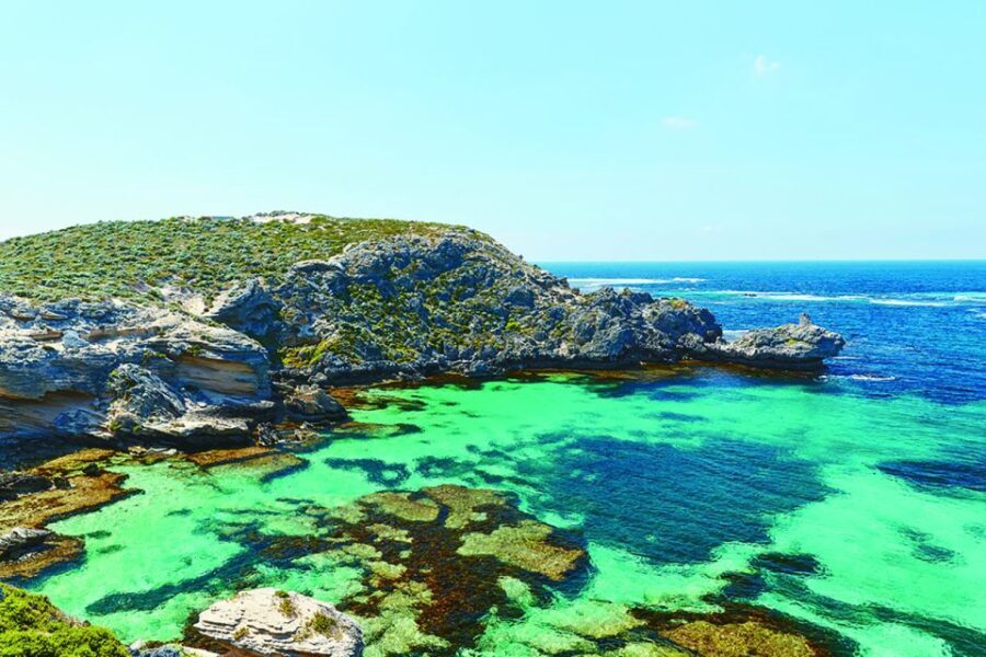 From Perth or Fremantle: Rottnest Explorer Segway Tour - The Highlights: Why This Tour Is Worth Considering