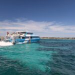 From Perth or Fremantle: Rottnest Island Ferry and Bus Tour - Why This Tour Offers Good Value