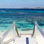 From Perth or Fremantle: Rottnest Island Seafood Cruise - The Value of This Tour