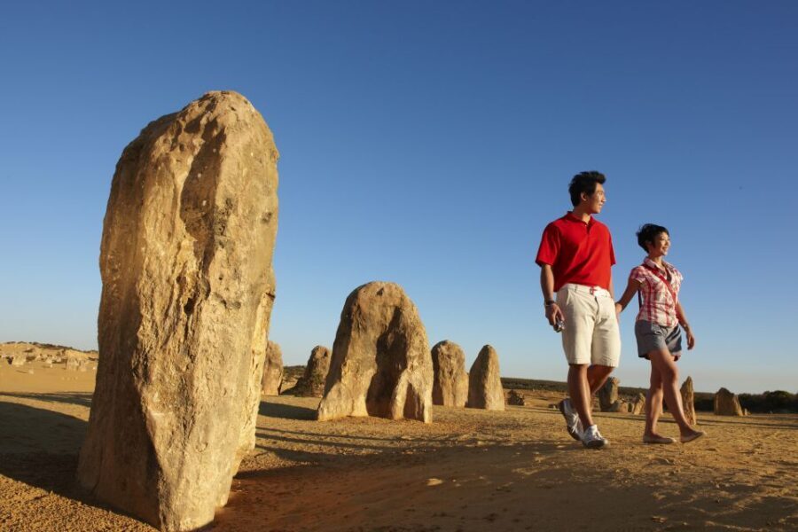 From Perth: Pinnacles Desert, Yanchep & Swan Valley Day Tour - Departure and Early Morning Pickup