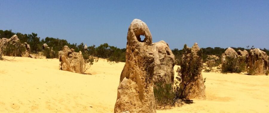 From Perth: Pinnacles Tour, Early Start, Avoid Crowds & Heat - What’s Included and What to Bring