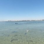 From Perth: Rockingham Seal & Penguin Islands Sea Kayak Tour - FAQs