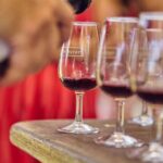 From Perth: Swan Valley Winery Tour - Who Will Love This Tour?