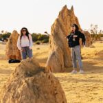 From Perth: The Pinnacles Desert Sunset and Star-Gazing Tour - Who Will Love This Tour?
