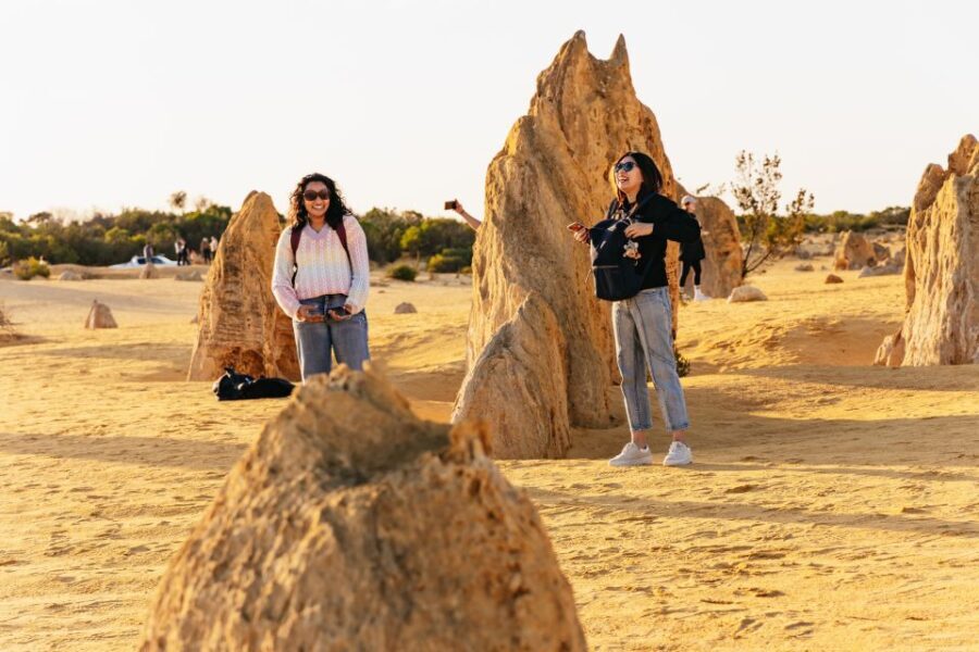From Perth: The Pinnacles Desert Sunset and Star-Gazing Tour - Who Will Love This Tour?