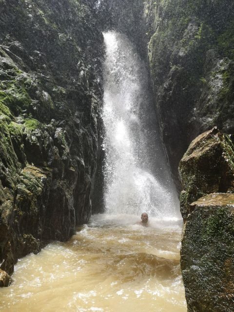 From Phuket: Guided Rainforest Hike with Lunch - Transportation, Duration, and Group Size