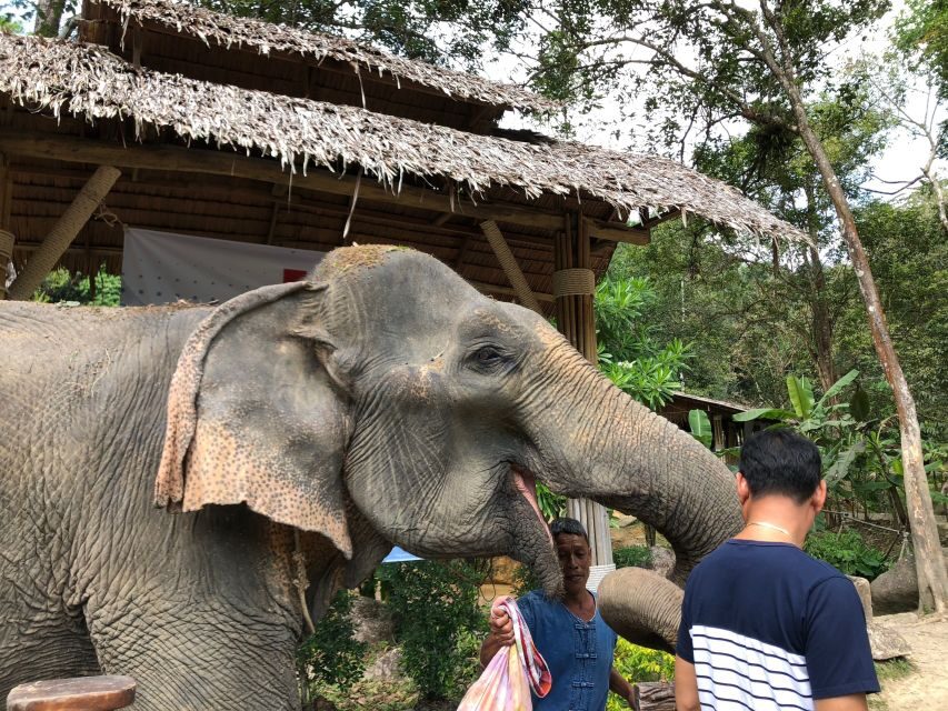 From Phuket & Khao Lak: Elephant Care with Waterfall Visit - What Sets This Tour Apart