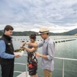 From Picton: Marlborough Sounds Cruise with Seafood - Who Would Love This Experience