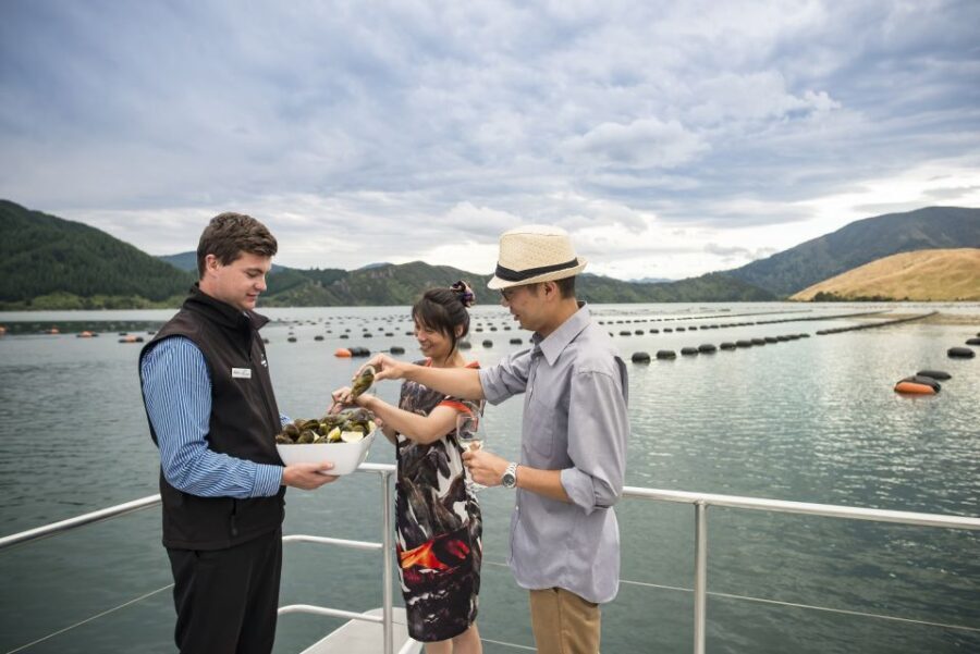 From Picton: Marlborough Sounds Cruise with Seafood - Who Would Love This Experience