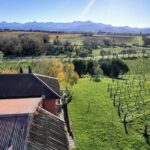 From Picton: Marlborough Wine Shore Excursion - Transportation & Group Dynamics