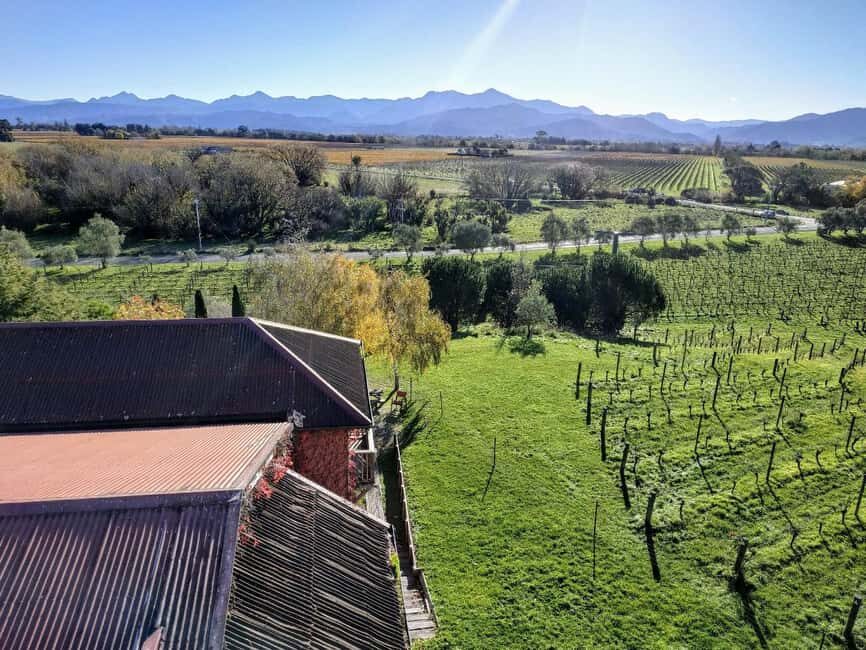 From Picton: Marlborough Wine Shore Excursion - Transportation & Group Dynamics