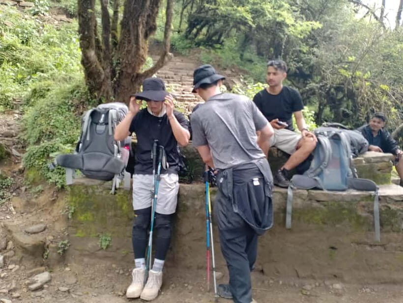 From Pokhara: 4-Day Mardi Himal Base Camp Trek - The Experience on the Trail