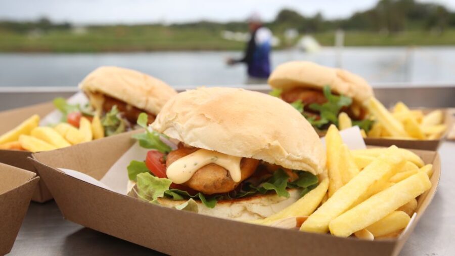 From Port Douglas: Barramundi Pond Fishing with Lunch - The Value of Guided Fishing and Educational Access