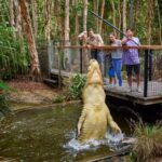 From Port Douglas: Hartley's Crocodile Park, Skyrail & Train - A Closer Look at the Itinerary and Highlights