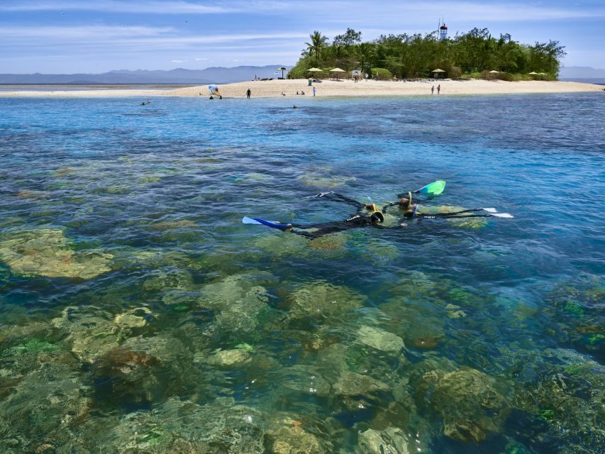 From Port Douglas: Low Isles Great Barrier Reef Sailing Tour - What’s Included & Practical Details
