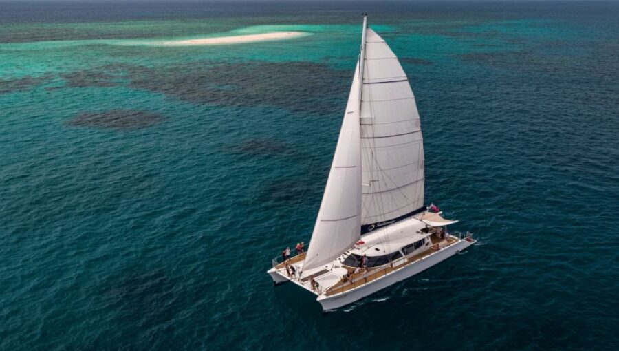 From Port Douglas: Outer Reef Cruise by Luxury Catamaran - What We Love About the Tour