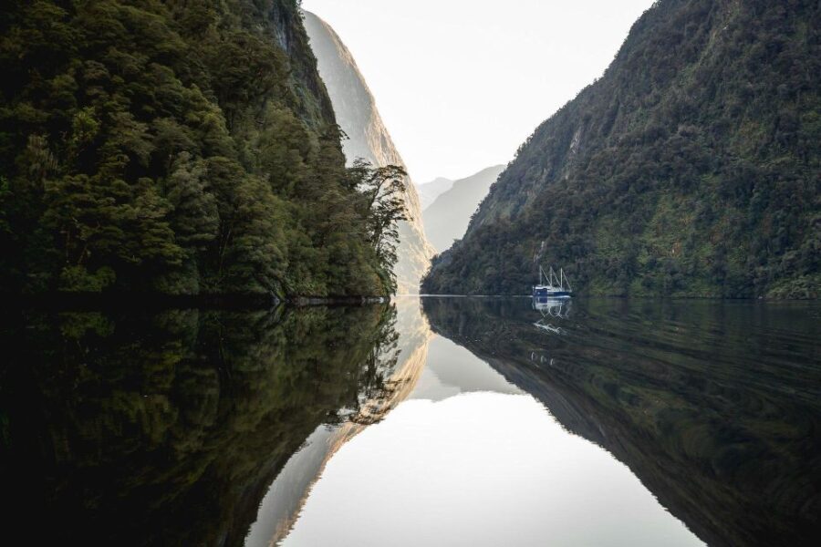 From Queenstown: Doubtful Sound Wilderness Day Trip - The Value Proposition: Is This Tour Worth It?