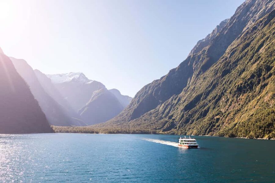 From Queenstown: Milford Sound Cruise & Scenic Coach Tour - Practical Tips for Travelers