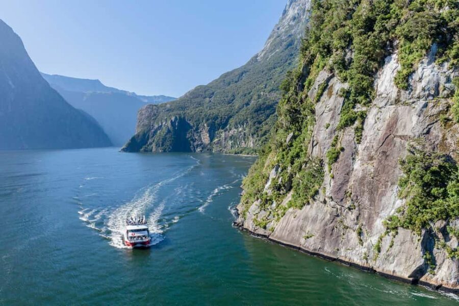 From Queenstown: Milford Sound Day Trip on Premium Coach - Authentic Experiences and Highlights