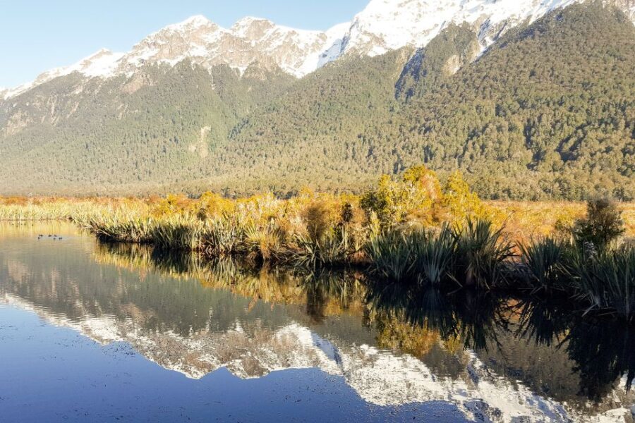 From Queenstown: Milford Sound Premium Day Tour and Cruise - What’s Included and What’s Not