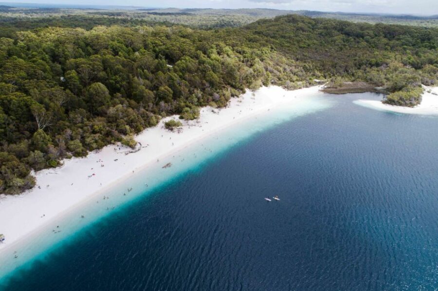 From Rainbow Beach: K'gari, Fraser Island Two-Day Coach Tour - Who This Tour is Best For