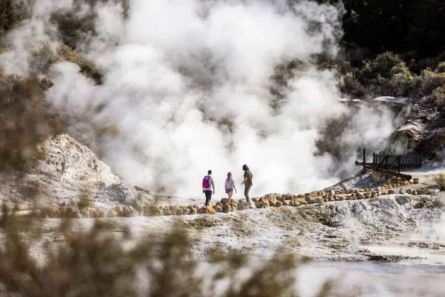 From Rotorua: HELL's GATE Geothermal MUD BATH Half Day Tour - What to Expect on the Tour
