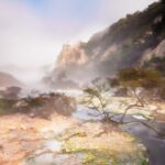 From Rotorua: Wai O Tapu & Waimangu Eco Thermal Morning Tour - The Value of This Tour