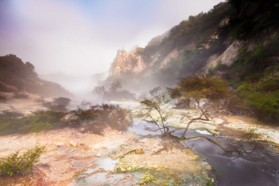 From Rotorua: Wai O Tapu & Waimangu Eco Thermal Morning Tour - The Value of This Tour