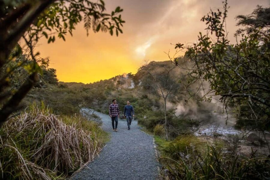 From Rotorua: WAIMANGU VOLCANIC VALLEY Half-Day Tour - The Itinerary and Experience Breakdown