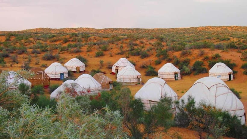 From Samarkand: 2-Day Yurt Camp Adventure with Camel Ride - Practical Details and Why They Matter