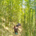 From Sapa 2-Day Sapa Trekking Trip with Homestay & Meals - An In-Depth Look at the 2-Day Sapa Trekking Experience