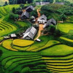 From Sapa: 2-Day Trekking Tour with Local Villages - Practical Details and Tips