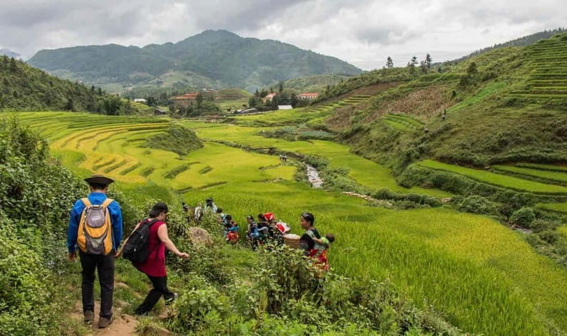From Sapa Homestay Hideaway 2-Day Local Life Adventure - A Detailed Look at the Sapa 2-Day Tour