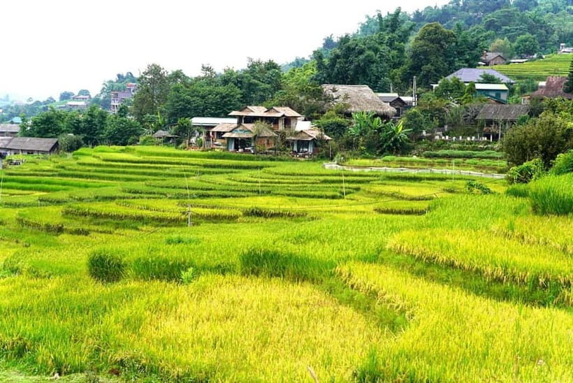 From Sapa Visit Lao Chai/Ta Van/Giang Ta Chai Sleep Homestay - FAQ