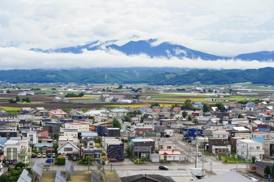 From Sapporo: Furano and Biei Vibrant Fields Tour - A Closer Look at the Tour Itinerary