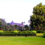From Semarang Port : Shore Excursion to Borobudur Temple - What Travelers Say & Our Analysis