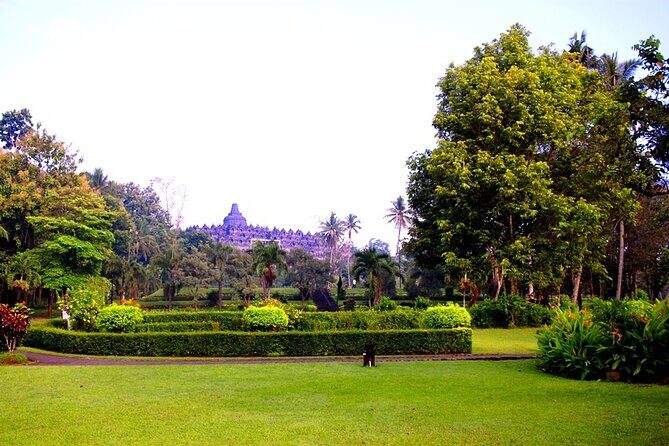 From Semarang Port : Shore Excursion to Borobudur Temple - What Travelers Say & Our Analysis