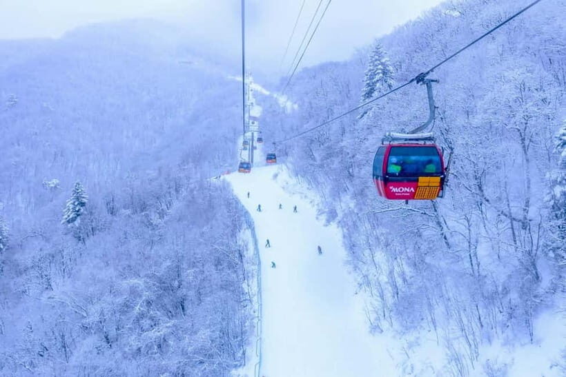 From Seoul: Balwangsan Cable Car and Daegwallyeong Ranch - Is It Worth the Price?