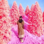 From Seoul: Romantic Winter Wonderland Tour - Itinerary Breakdown