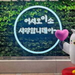 From Seoul: Tongyeong Anchovy 2 day Tour - The Value of the Tour