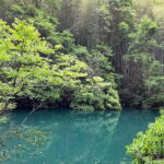 From Shanghai: Xiaoshao Ancient Road Journey - Exploring Xiaoshan and the Xiaoshao Ancient Road