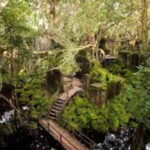 From Siem Reap: Beng Mealea and Kamphong Phluk Day Tour - Authenticity and Insight