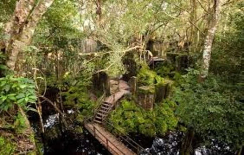 From Siem Reap: Beng Mealea and Kamphong Phluk Day Tour - Authenticity and Insight