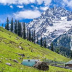 From Srinagar Full Day Trip of Yousmarg - Why You Should Consider This Tour