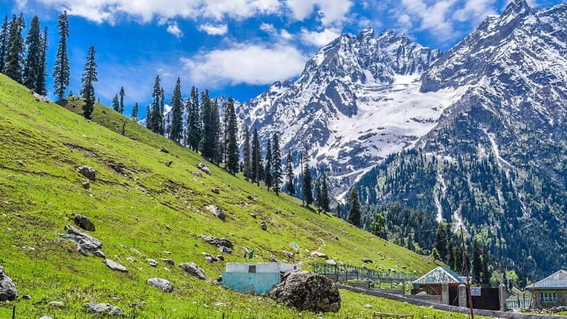 From Srinagar Full Day Trip of Yousmarg - Why You Should Consider This Tour