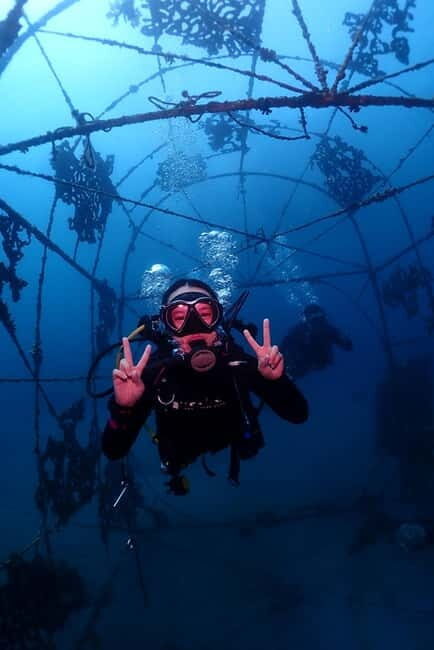 From Surabaya: Banyuwangi 2-day Diving Tour - What Travelers Should Know